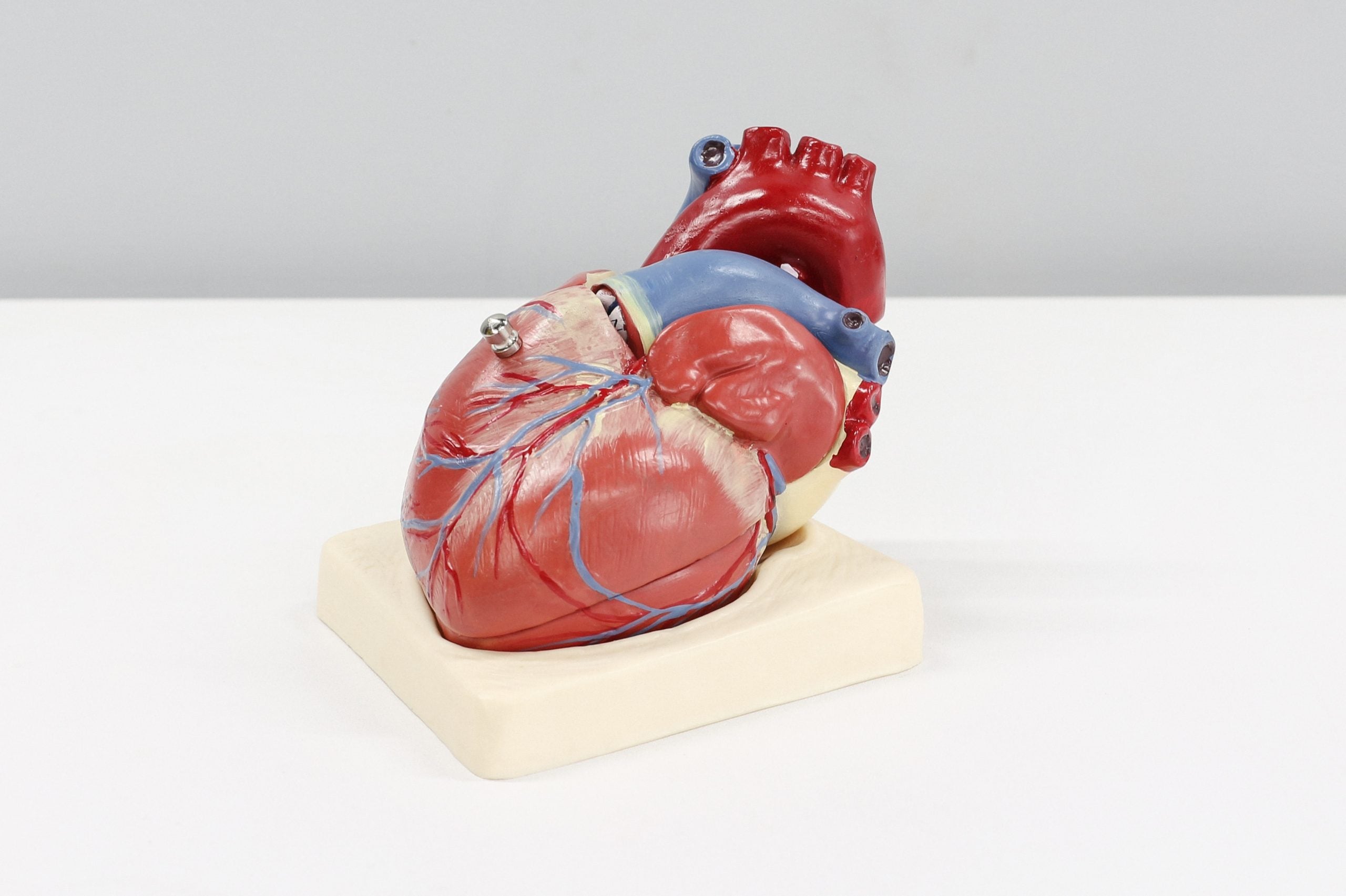 Natural Strategies For A Healthy Heart And Improved Circulation ...